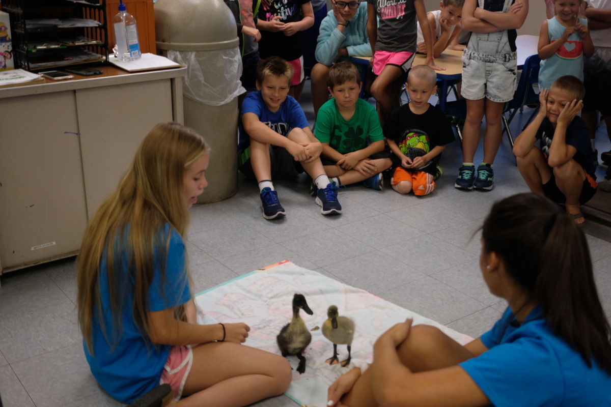 YMCA After School Enrichment Program - Hastings YMCA